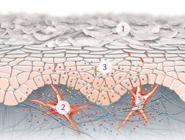 Dermatite atopique | Peau atopique | Eucerin